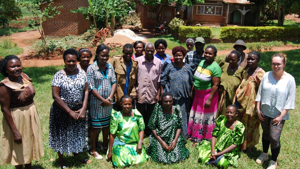 How African Indigenous Vegetables production in Uganda revealed ...