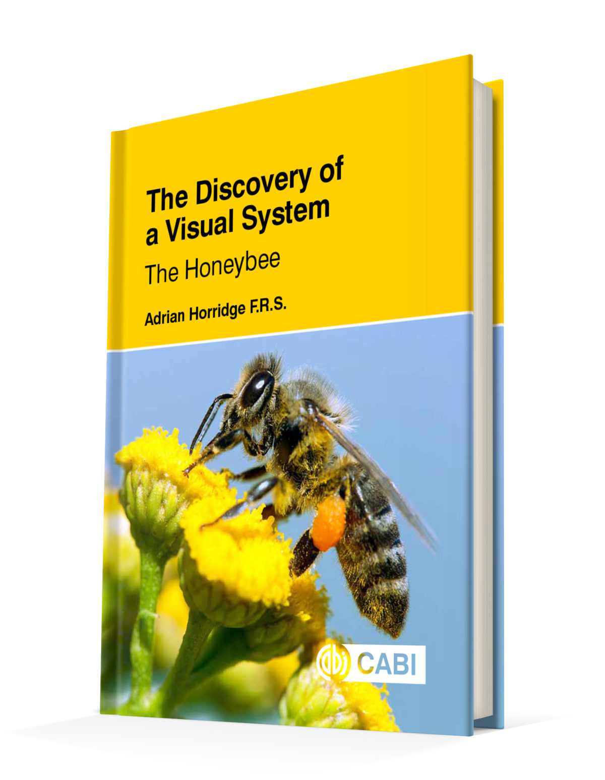 CABI's 2019 books of the year – CABI Blog