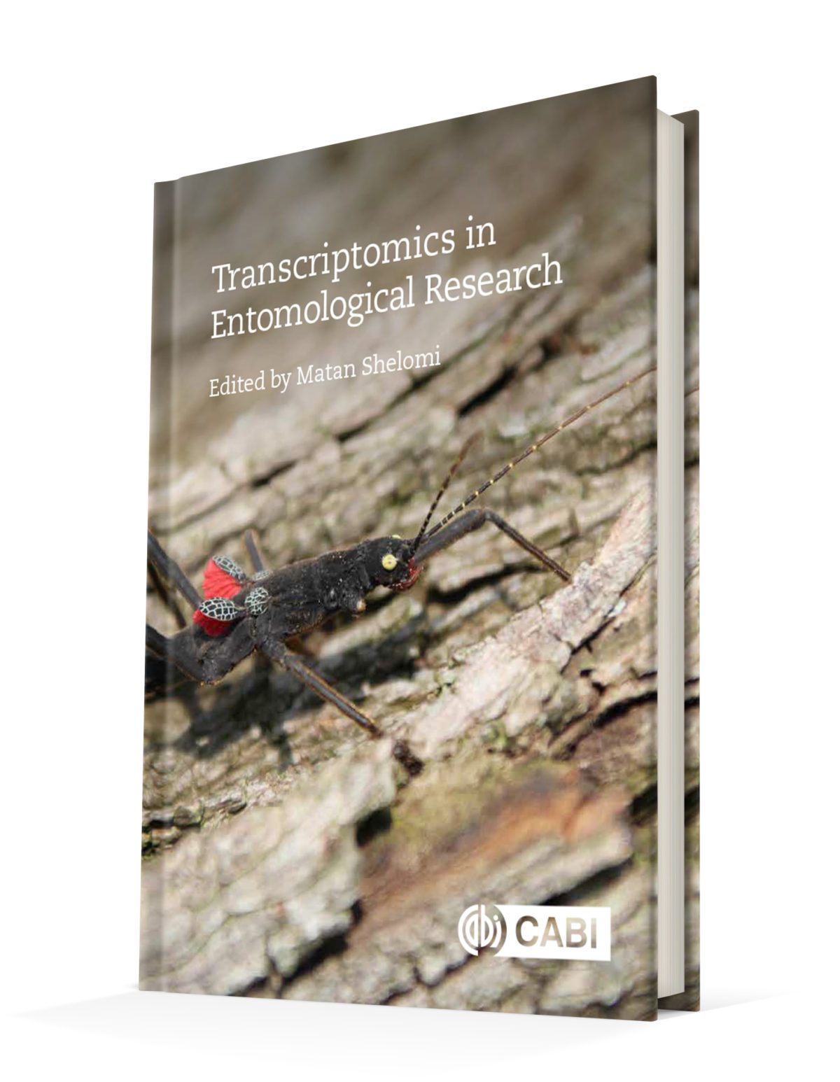 Mystery Organs of the Stick Insects: Solving A Century-Old Anatomical ...