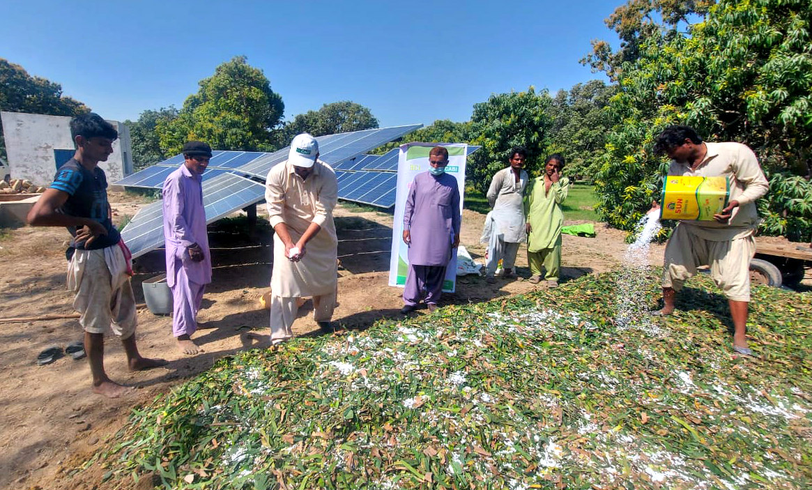 Using compost to grow better cotton in Pakistan: a farmer's story ...