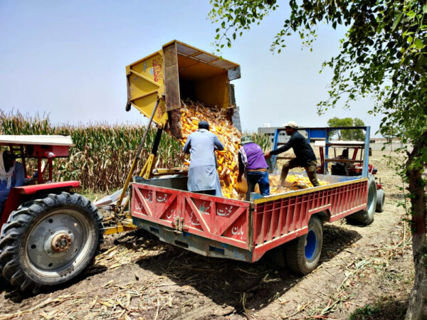 Maize cob picker helps increase efficiency of harvests in rural Punjab ...