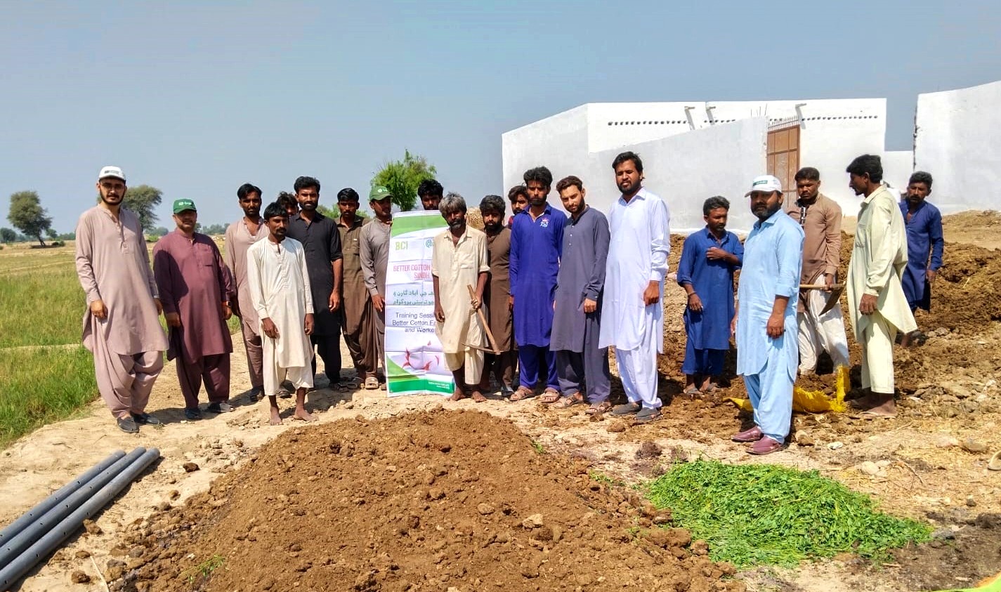 Surviving the Pakistan floods: reducing fertilizer without compromising ...
