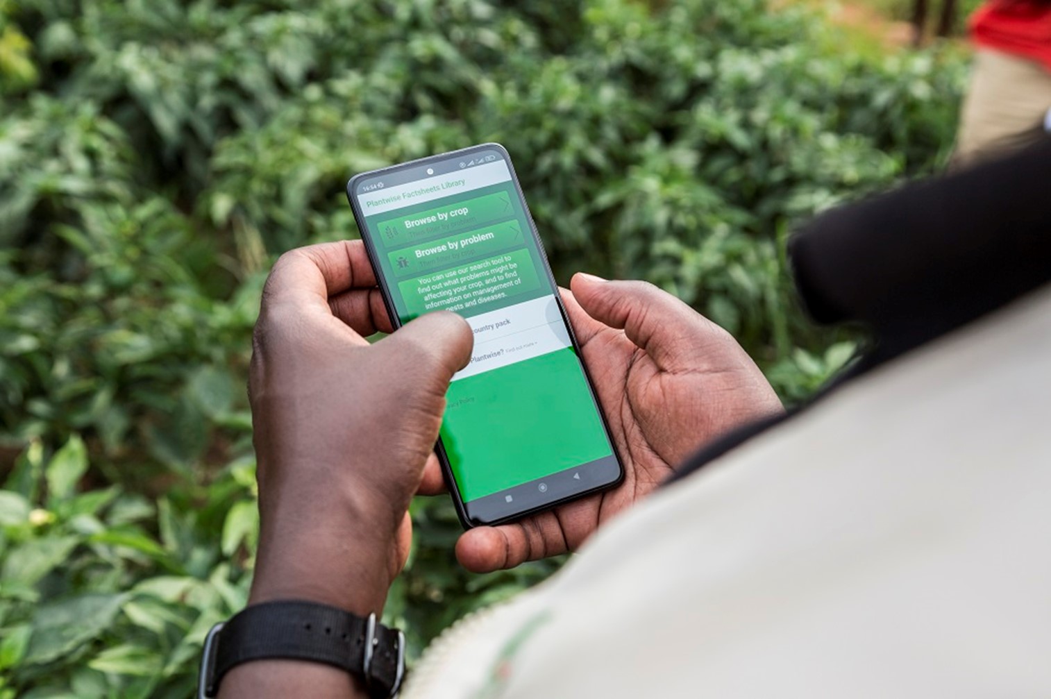 CABI shares expertise in data policy and practice at international data ...