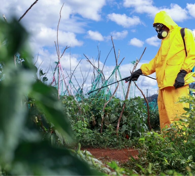 Reducing pesticide risks and using nature-based solutions can address ...
