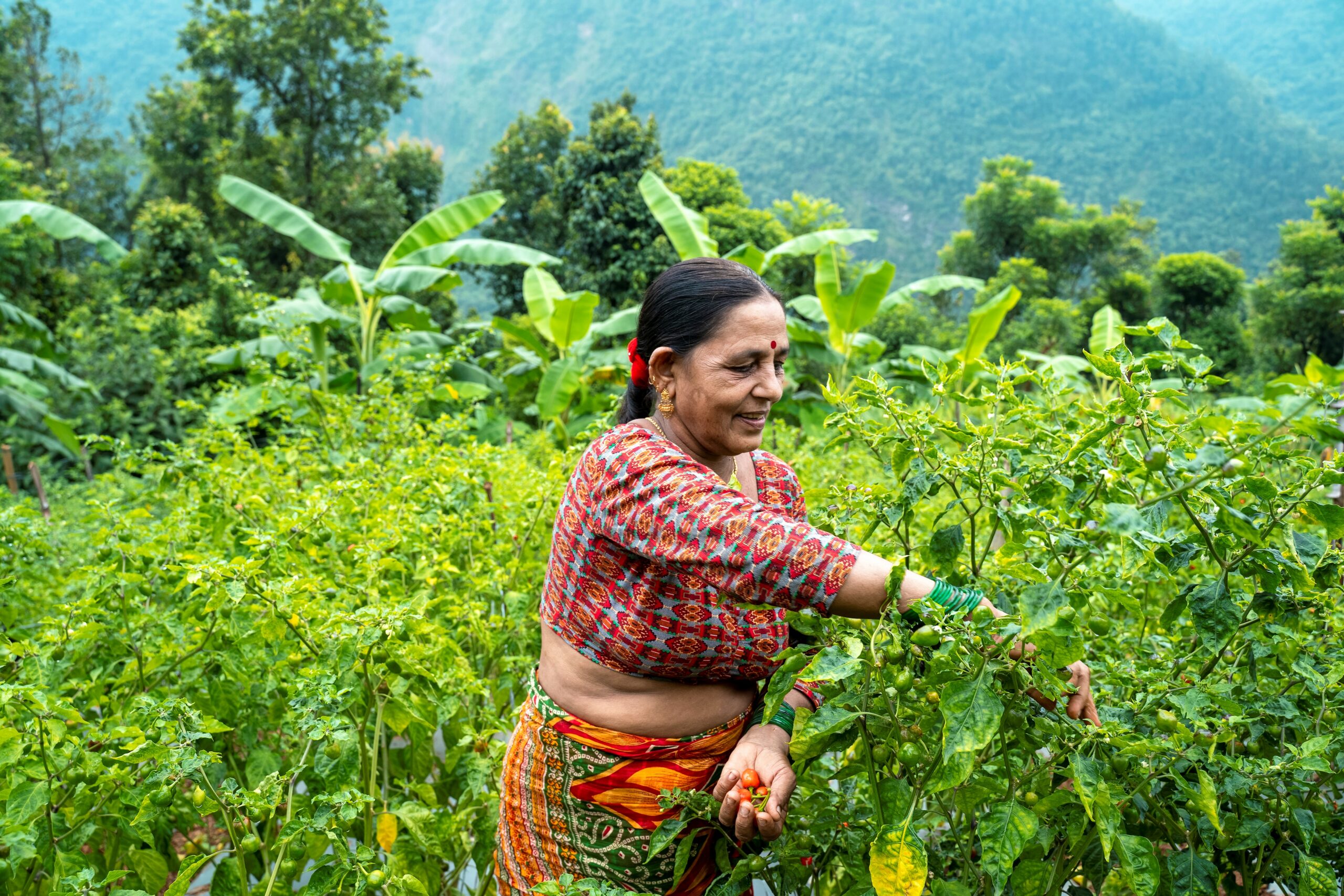 Celebrating rural women - stories from the field