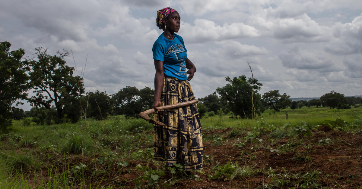 One Health research: the three big questions – CABI Blog